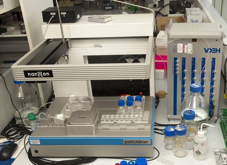 Patch Clamp Platform